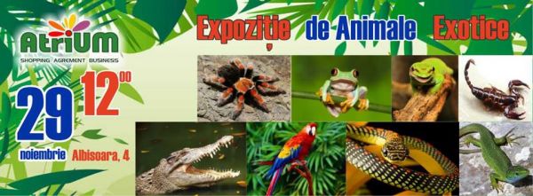 Expoziție de animale exotice - Diverse evenimente - Fest.md